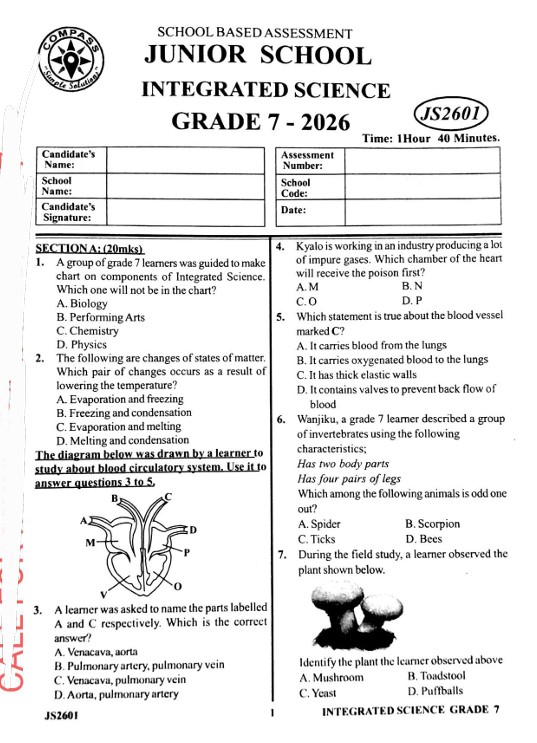 Notes.co.ke - Education notes in Kenya